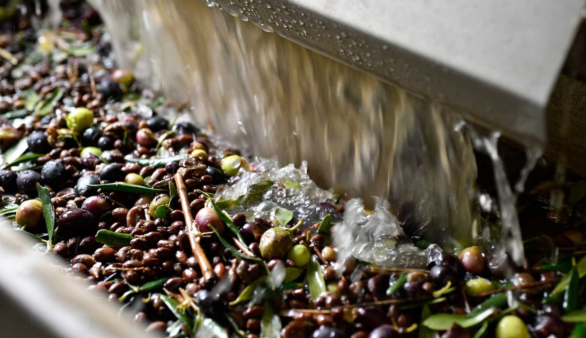 World First Healthy Products – The Olive Mill Water Co.